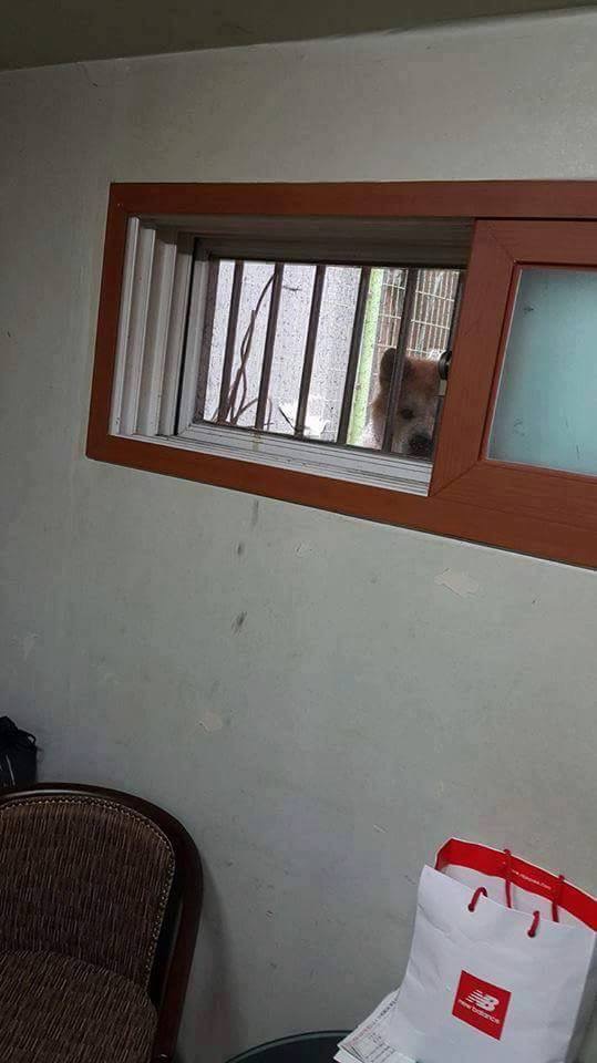 他說隔壁鄰居老是偷窺他時大家都勸他報警，但他公布偷窺狂真面目時網友都大喊「求偷窺我！」 | TEEPR 亮新聞