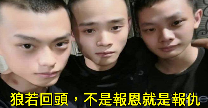 21句讓你說不出口的「8+9經典語錄」 網友：有輸過，沒怕過！ | TEEPR 亮新聞