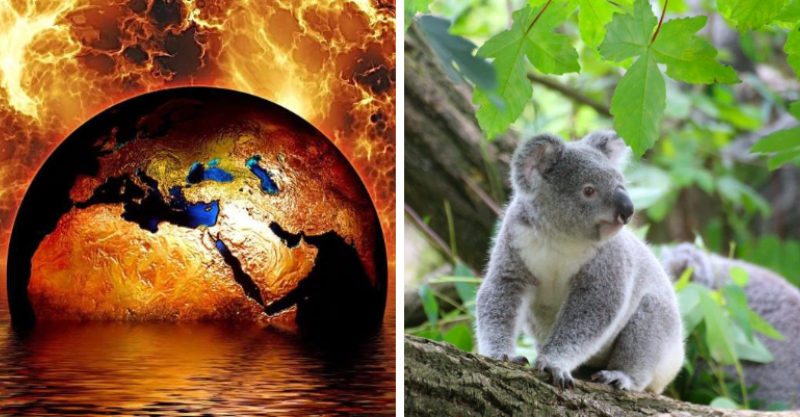 超級電腦預測：2100年爆發「地球大滅絕」 27%物種恐消失 | TEEPR 亮新聞