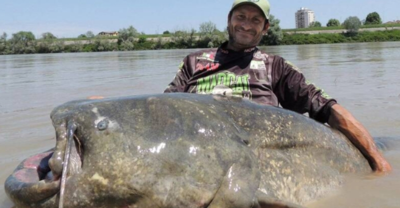 河裡釣到「近3公尺巨型怪物」僵持40分鐘 「全身照曝」他愣：23年來第一次見 | TEEPR 亮新聞