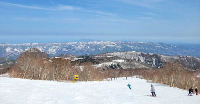 23歲台灣男大生「日本滑雪摔倒」 重擊頭部送醫死亡 | TEEPR 亮新聞