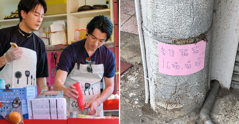 老闆懂貓語？早餐店寫告示「16喵，喵喵！」 翻譯曝光超驚喜：貓真的來了 | TEEPR 亮新聞