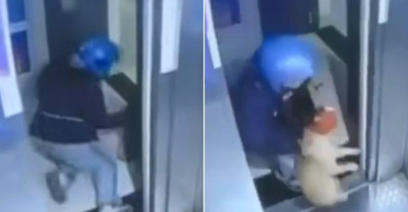 外送員「抓浪貓」丟下26樓！拍片記錄斷氣瞬間 平台發聲了 | TEEPR 亮新聞