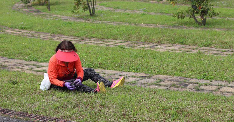 新北公園驚現「草王」 1斤可賺4000元！網愣：難怪一堆人搶拔 | TEEPR 亮新聞