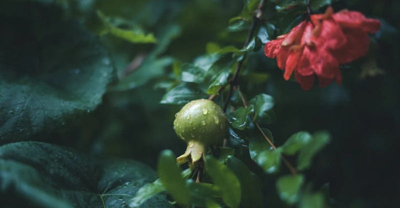 全台變天！15縣市「大雨特報」 低溫下探1字頭 | TEEPR 亮新聞