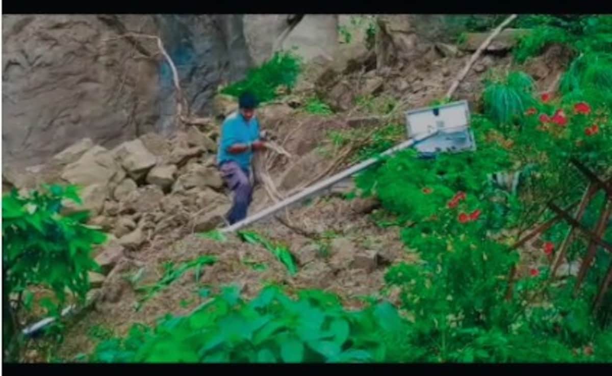 柯基出門「叼回一堆棉花」下秒竟動起來！萌問：爸媽我可以養牠嗎～ | TEEPR 亮新聞